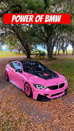 Power of BMW #bmw #bmws1000rrhp4 #viral #shortsviral