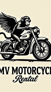 DMV Motorcycle Rental LLC on Instagram: "BOOK ME IF YOU NEED YOUR M1 MOTORCYCLE LICENSE!"
