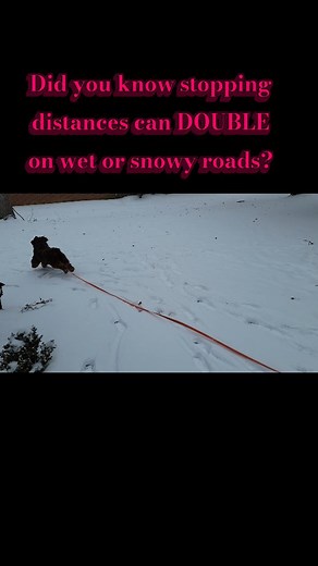 Winter braking distances can DOUBLE! #WinterDriving #DriveSafeOhio #OTSO #WinterRoadSafety #SlowDown #LeaveSpace | Prestige Driving Academy