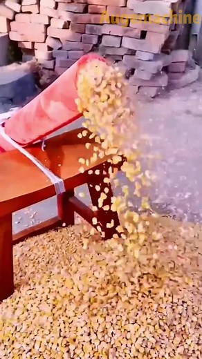 Corn sheller machine maize sheller agriculture machinery-corn thresher, automatic threshing and automatic delivery#cornsheller#cornthresher #maizesheller #maizes