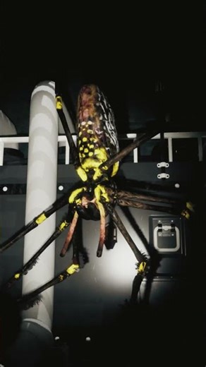 Hey buddy, eyes up here! Meet the Orb Weaver. Huntsman Launches Nov 27th #horror #gaming #horrorgame