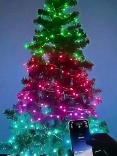 RGBIC Fairy String Light – 5V USB, Bluetooth APP & Remote, 10/20/25M Christmas Lights