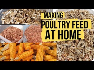 How to make your own poultry feed at home || How poultry feed is made
