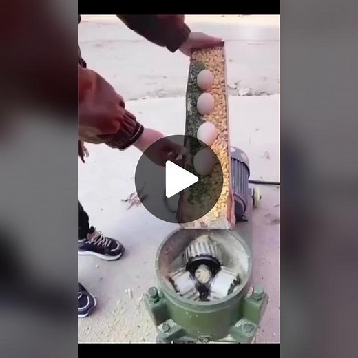 Egg Grinding Machine Process: How It Works