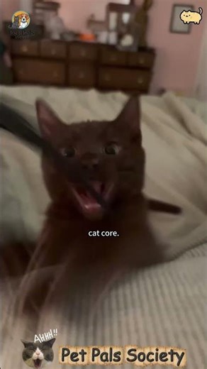 Ep.74 🌈 Embracing the colors of life 🌈 | Love wins, always ❤️