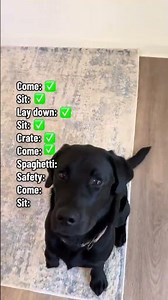 Link in bio for training video tutorials and direct message access to me to help with training!