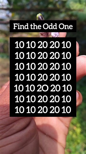 Find the Odd One | Visual Logic Challenge | Ep.775