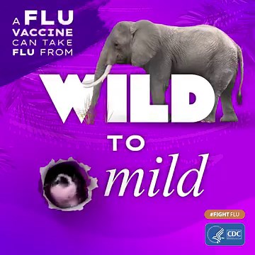Parents: Flu could trample your family’s winter activities. Get your child a flu vaccine to reduce their risk of getting flu and tame its symptoms if they do get sick. Take other preventive actions to help keep them healthy: • Cover coughs • Avoid those who are sick • Wash hands often Talk to your child’s health care provider about the risks of flu. For more on flu: https://bit.ly/46lfeVv | CDC