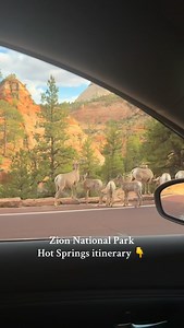 Hiking Observation Point & Hot Springs. 🚗 Start by driving to the east side of Zion Head toward the Zion Ponderosa area and type East Mesa Trailhead into your GPS. This route takes you to the top of Zion and lets you hike down into Observation Point for an easier, more relaxed approach. ⸻ 🥾 East Mesa Trail → Observation Point A beautiful forested trail that opens up to one of the most iconic views in the park. • Distance: ~7 miles round-trip • Difficulty: Moderate • Why go: You’ll be standing 