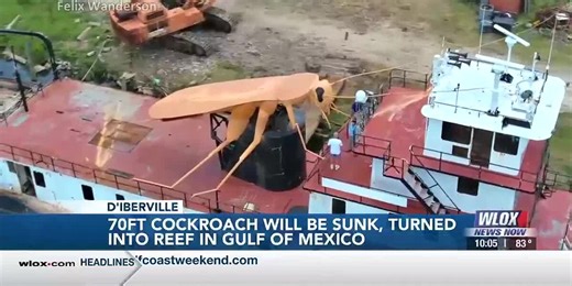 70-foot cockroach to be sunk into Gulf of Mexico to create reef