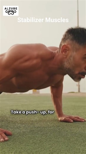 What Are Stabilizer Muscles? | The Hidden Heroes Behind Every Movement