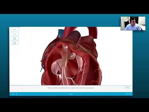 Visible Body | Teaching a cadaver lab with 3D anatomy models | Professor Tomer Kanan (Part 1)