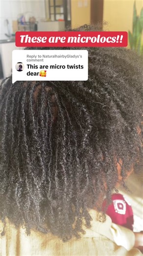 Understanding Microlocs vs Microtwists | Hairstyle Guide