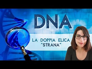 DNA: What it is, how it's made, and what it's used for