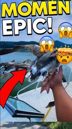 “Nature’s Beauty: Geese Flying Side by Side With a Boat”