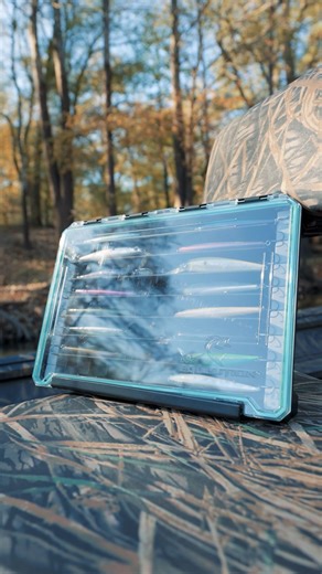 Tyler Anderson on Instagram: "SUPER slick new tackle tray I’ll be putting a few of in the boat 🔥👍🏼 “Twitch” box keeps my skinny lures protected, untangled, and ready to tie on and fish with 🤝🏻"