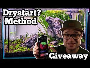 How to use the dry start method? | Plantedbox GIVEAWAY WINNER | IWAGUMI nano tank build