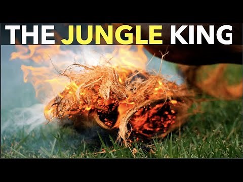 The Jungle King