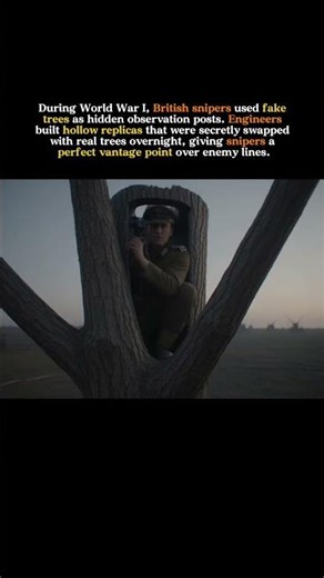 The Fake Trees That Hid British Snipers in WWI