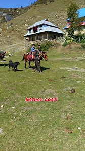 53K views · 2K reactions | Bakarwal people migration from hilly areas to plans #reel #gojrireel #bakarwal #newreel #viral #nature | Rashad Gorsi | Facebook