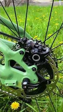 Ride gravel in comfort on AZUB MAX 700 recumbent bike with Lauf fork #gravelbike #recumbent