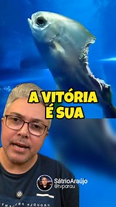 Não desista, Deus conta contigo. #reflexao #Deus | Sátrio Araújo