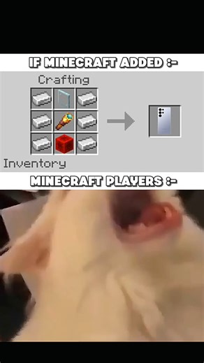 MCPE Gamer on Instagram: "What If Minecraft Add ☠️ #minecraft"