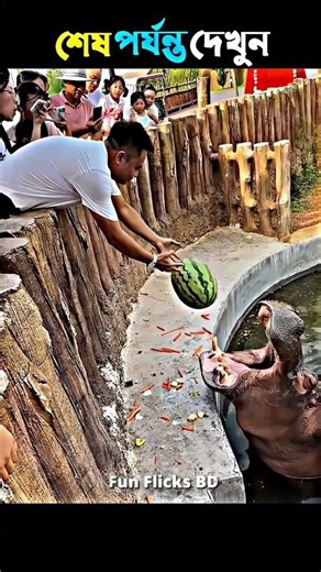 Building Wooden Log Cabin in Forest 🌲🥳 | Survival House Step by Step"02 #shorts #facts