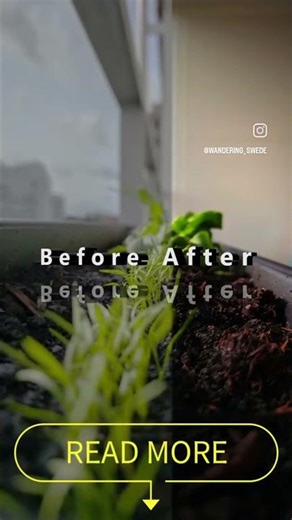 This picture was edited just using my 4 simple steps for adjusting the color in GIMP. Check it out!