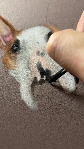 Drawing the nose ✍🏼 | Eye Artist