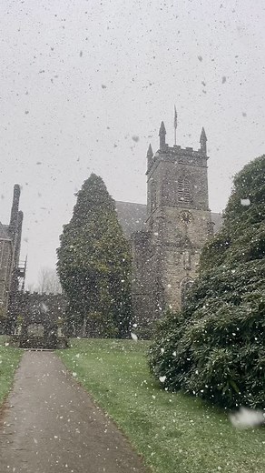 1.2K views · 496 reactions | A snowy morning in the Ashdown Forest ️ | Ashdown Park Hotel & Country Club | Facebook