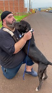 263K views · 26K reactions | Nosso meninão Zeus⚡️ Amor, dedicação e a ajuda de vocês ! Sim, é possível!卵亂 Continuem ajudando !  PIX - contato.apaja@gmail.com Gratidão Dra Ana Claudia Battochio, Eder Perez , Adriano Pacheco, Guilherme Ferreira, Dr Marcelo Tomaz Góes , Dr Aldo, Investigador Homero Lacorte e a todos que ajudam na nossa luta! . . . #apaja #voluntariado #animalnãoécoisa | Apaja - Associação Protetora dos Animais de Jaú | Facebook