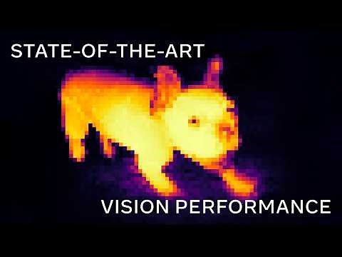 Introducing DINOv3: Self-supervised learning for vision at unprecedented scale