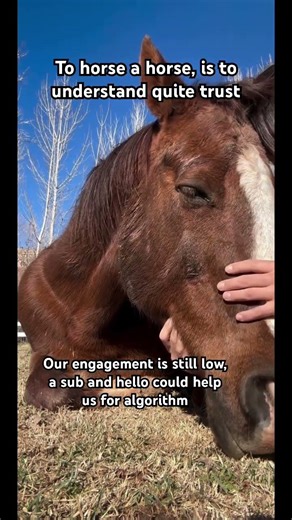 Our engagement is still low, a sub and hello could help us for algorithm #wescandal #hatersbackoff