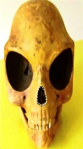 💀மர்மமான ஏலியன் மண்டைஓடு!👽 | Mysterious Alien Skull Discovered | #shorts | Tamil Ultimate