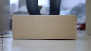 Man Taking a Postal Package from the Front of the Door, Delivered by Postal Courier. Packages Delivering with Postal Services.