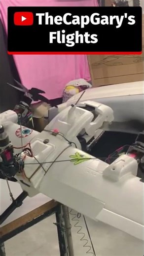 Unexpected: What Just Happened? #shorts