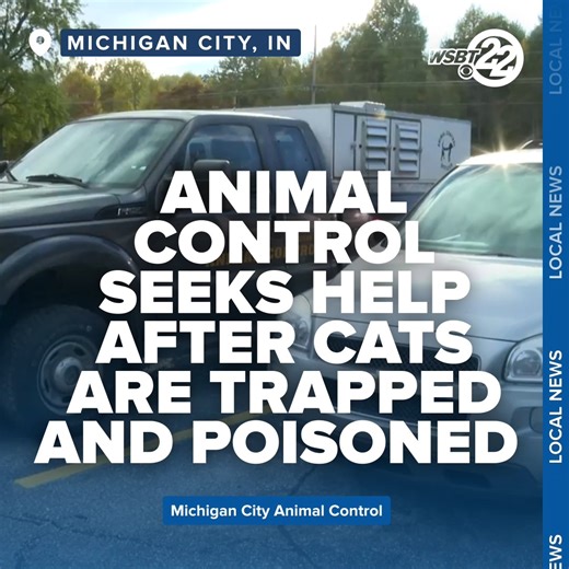 #ICYMI Michigan City Police and Animal Control Services are issuing a warning to residents in the area of Gardena and Superior Streets, following reports of an individual illegally trapping and poisoning both stray and pet cats in the vicinity. https://bit.ly/46ZkcJY | WSBT-TV
