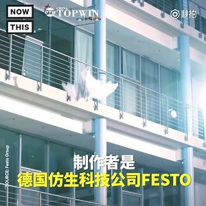 26 reactions · 12 shares | 【Fun-things Daily】 This is a bat which fly in the daytime,maked by Festo, So cool. | Topwin SciTech | Facebook