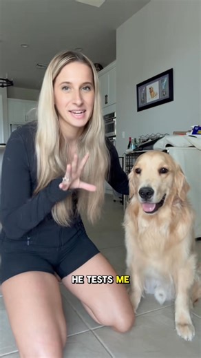 I don’t even have time to come up with a full sentence at this point ... | Blue The Husky