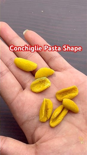 Easy Conchiglie Pasta Shape #tastemadeworld #trending #pastashape #pasta #conchiglie #conchiglia