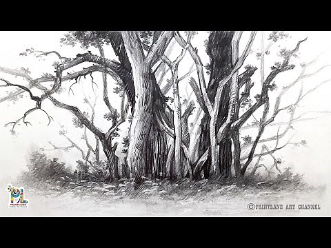 How to Draw a Realistic Forest Trees with Pencil | Easy Tree Drawing for Beginners