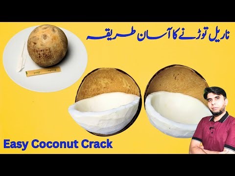 How to Open a Coconut Easily (No Tools) | Quick & Simple Coconut Cracking | Nariyal Kaise Torein