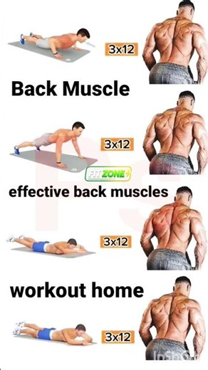Effective back muscle workout at home |Strengthen and Define your Back #shorts #short #workout #gym