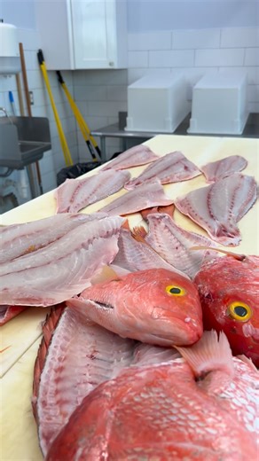 Reed Brand on Instagram: "I love my job! Thanks for the waterproof jams @turtleboxaudio"