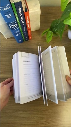 Look inside The Bible Recap Journal #thebiblerecap