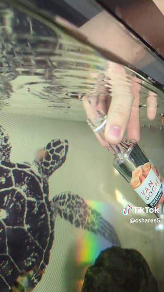 Taking good care of my plants x) What do you guys use to water? ^^ #plants #morning #drinking #watering #flowers