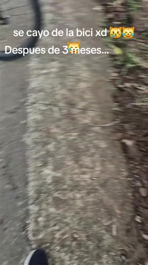 Reparación de iPhone XS: Después de 3 meses