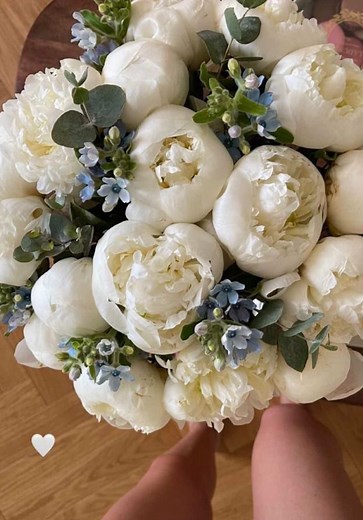 Understanding Plan A and Plan B in Life Decisions