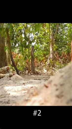 Discover the captivating process of building a unique treehouse while learning essential jungle survival skills